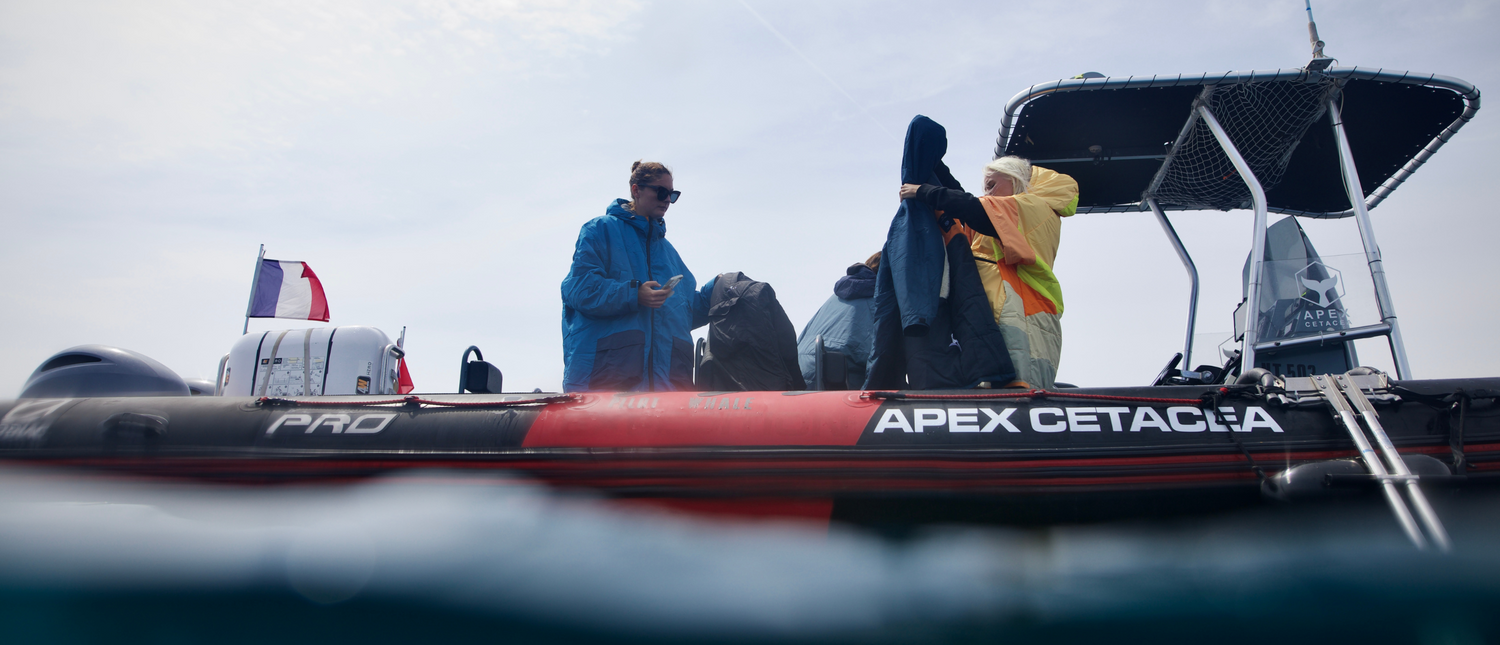 APEX CETACEA - Guardians of the Deep – VOITED US